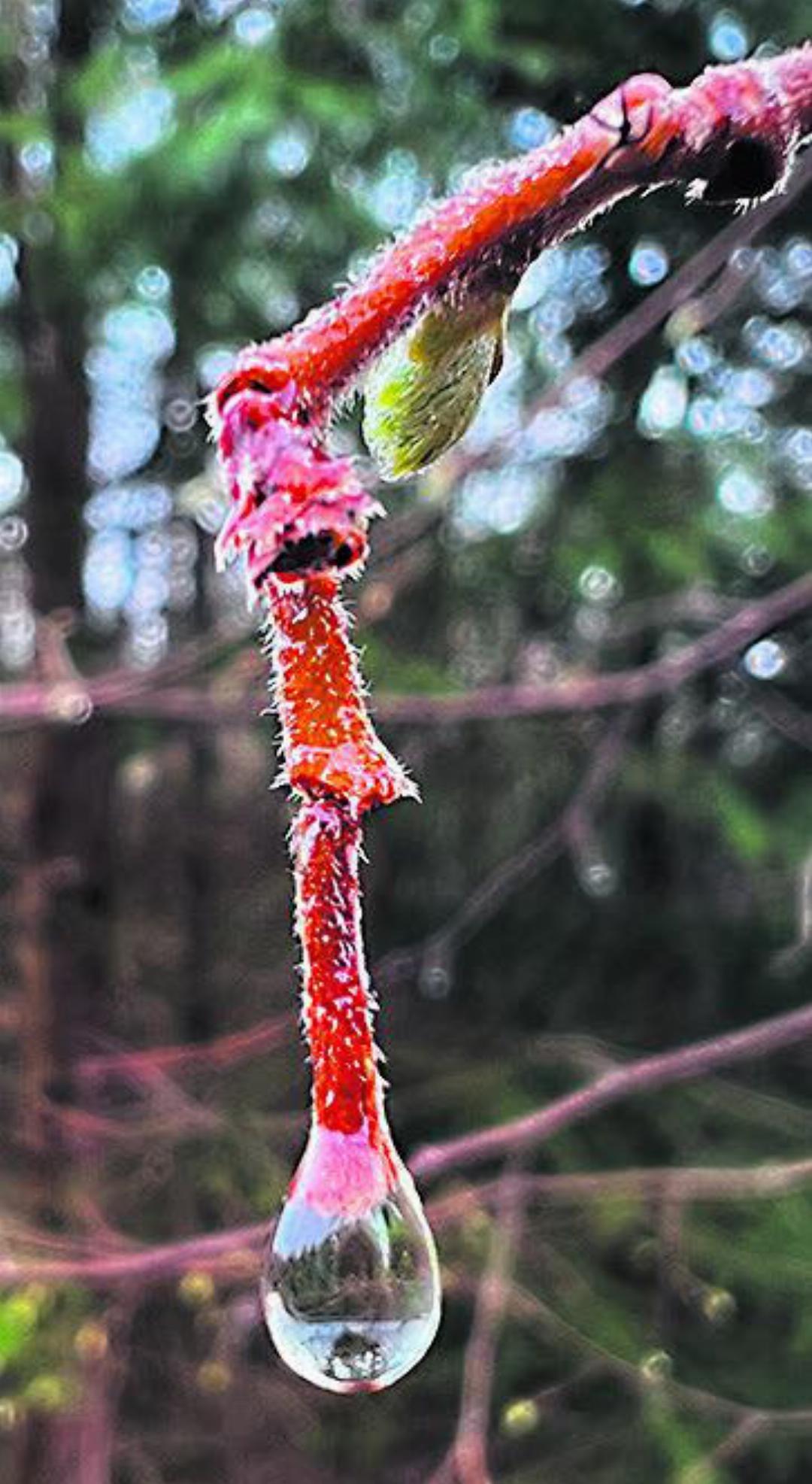 Tropfen für Tropfen