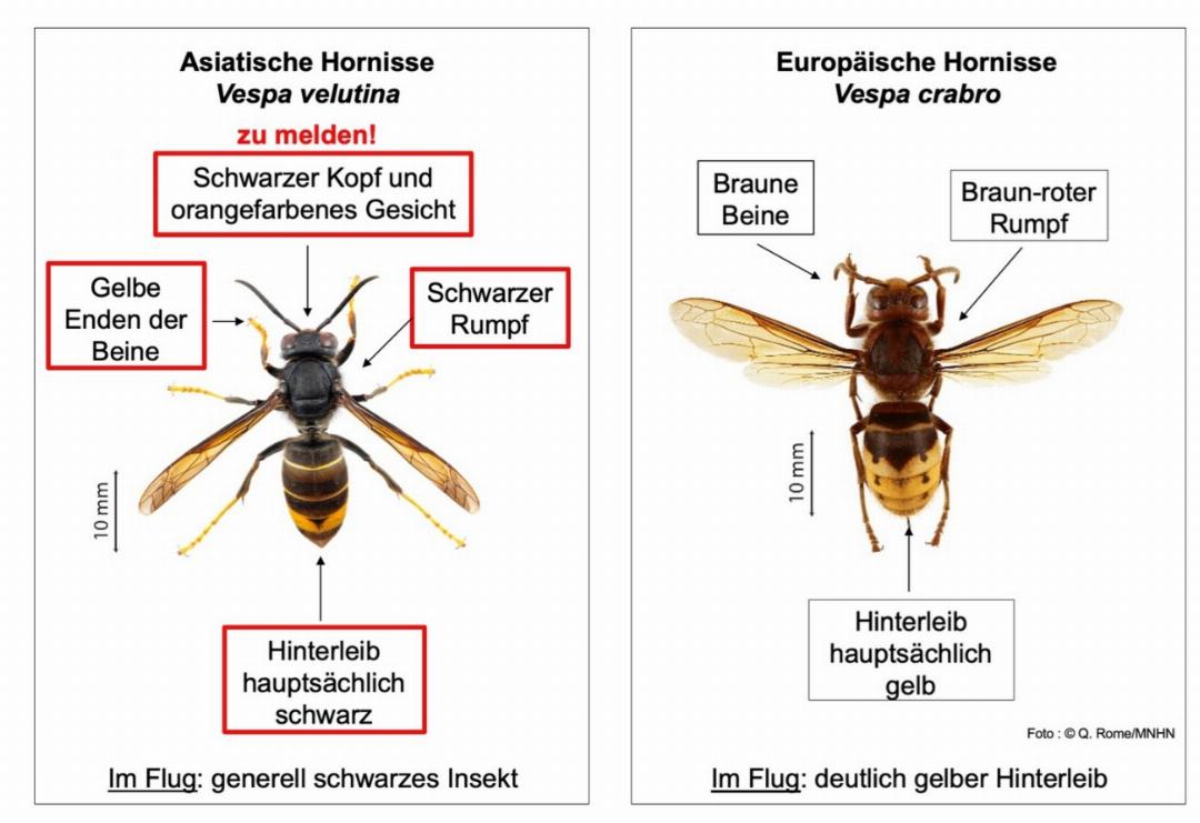 Francesca farago sex leak she has a few of rules that are