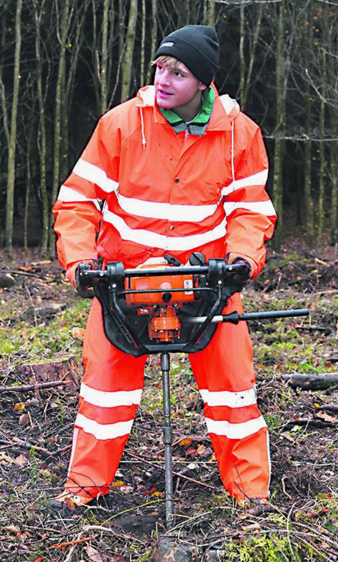 Hölzige pflanzen ihren Werkstoff gleich selbst
